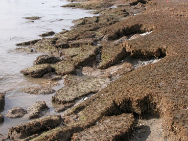 Atzurita: T2. Meteorització i erosió